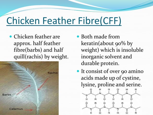 Chicken Feather Reinforced Composite | PPTX | Agriculture | Industries