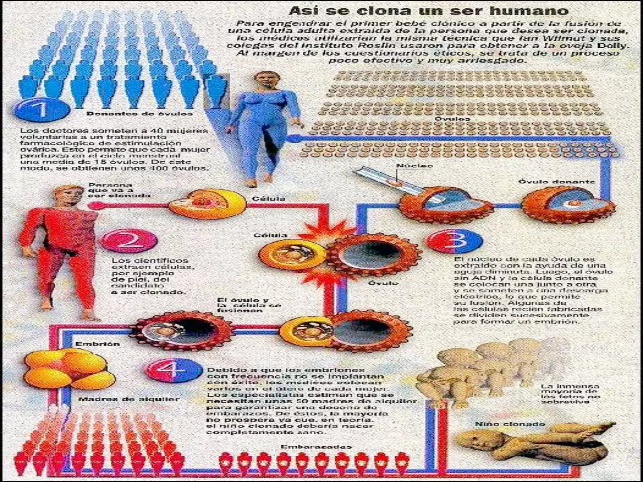 0 ingineria genetica_si_clonarea | PPT