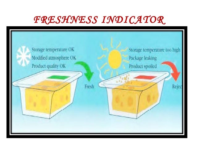 0 intelligent final ppt