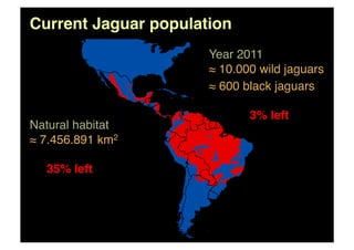 Jaguar Habitat Map