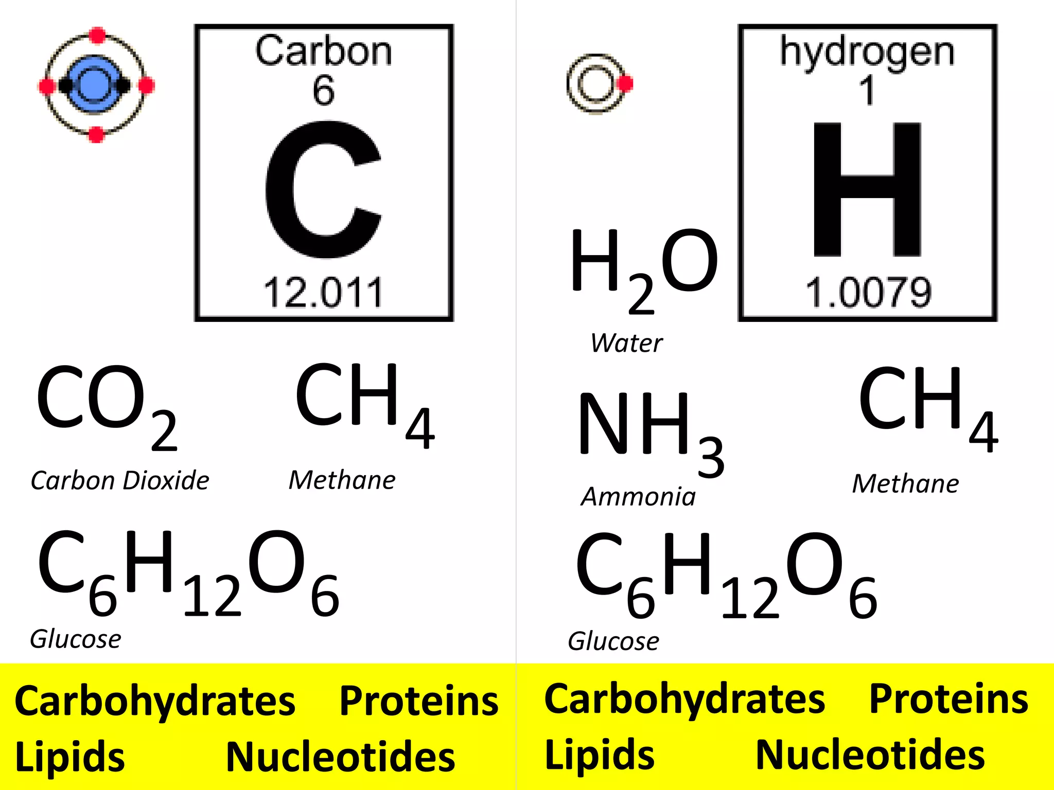 Biology Introduction: Nutrient Cycles | PPT