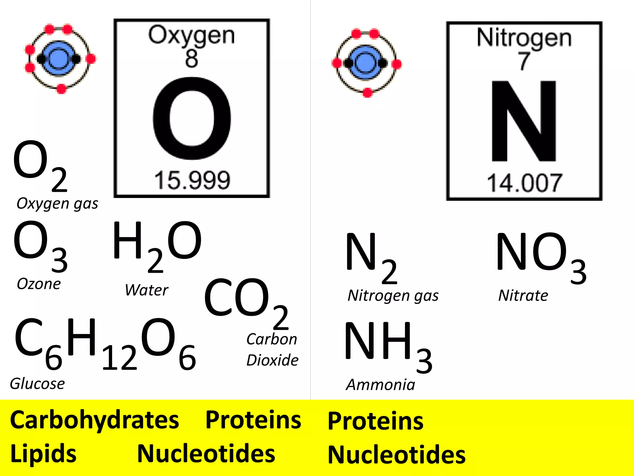 Biology Introduction: Nutrient Cycles | PPT