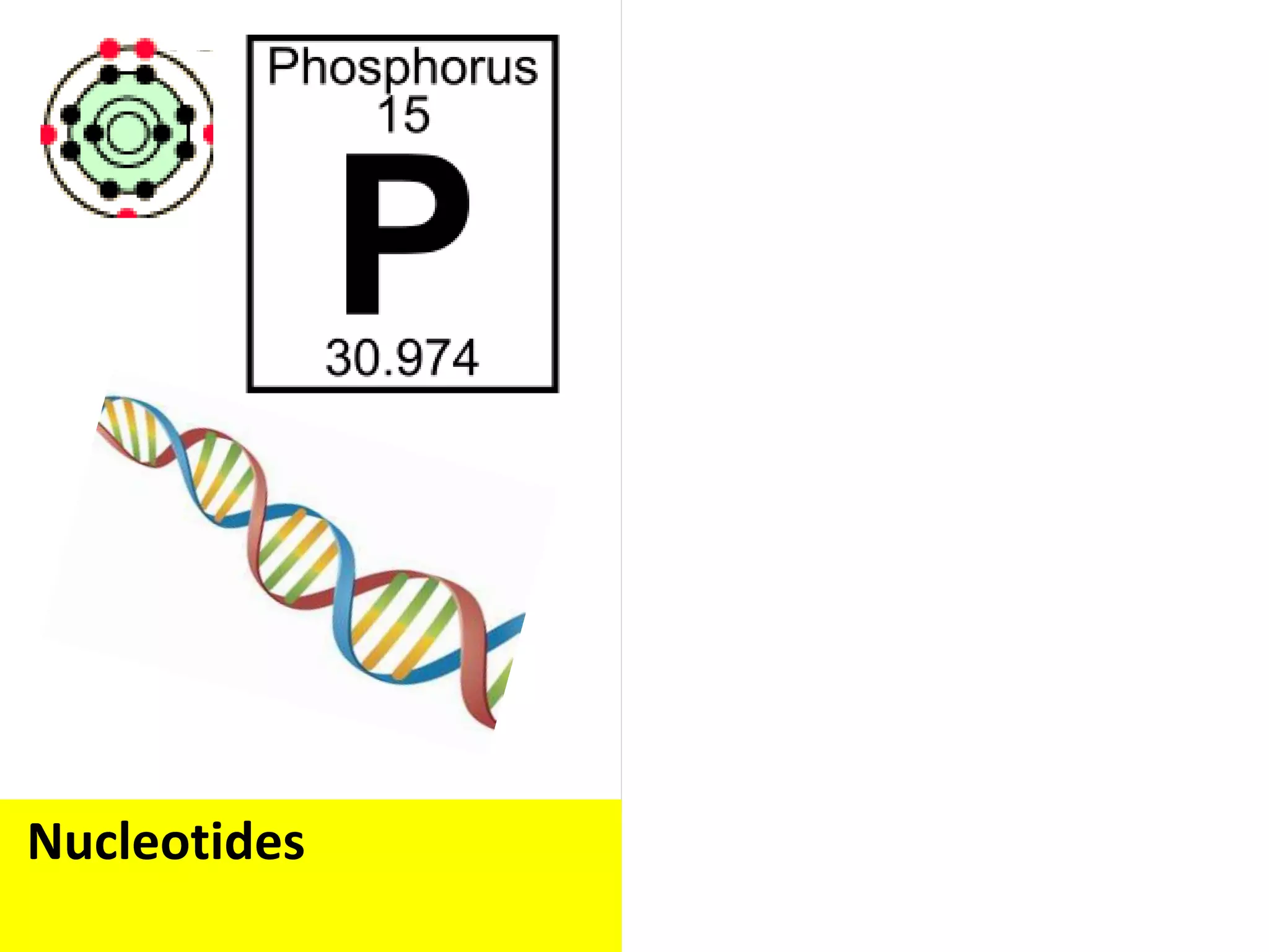 Biology Introduction: Nutrient Cycles | PPT