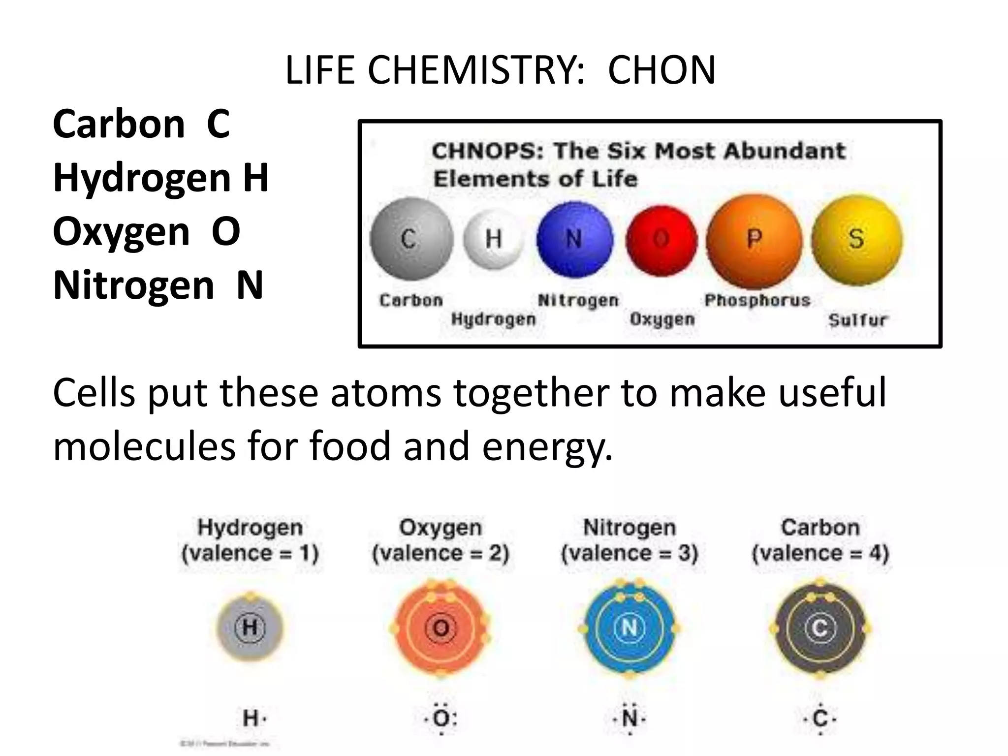 Biology Introduction: Nutrient Cycles | PPT