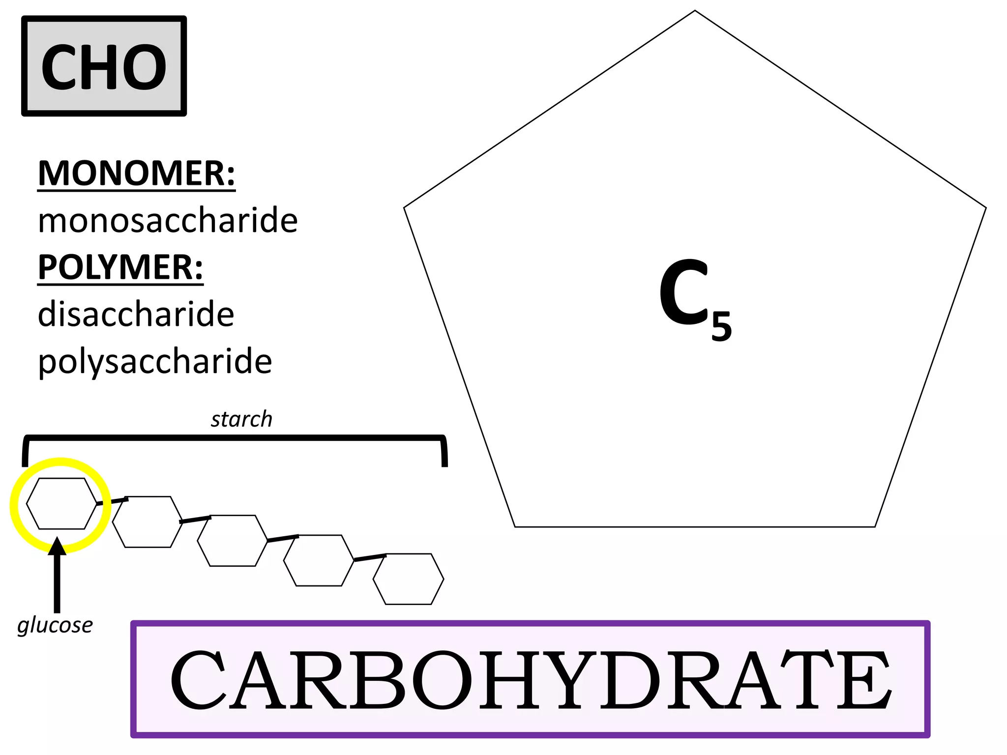 Biology Introduction: Nutrient Cycles | PPT