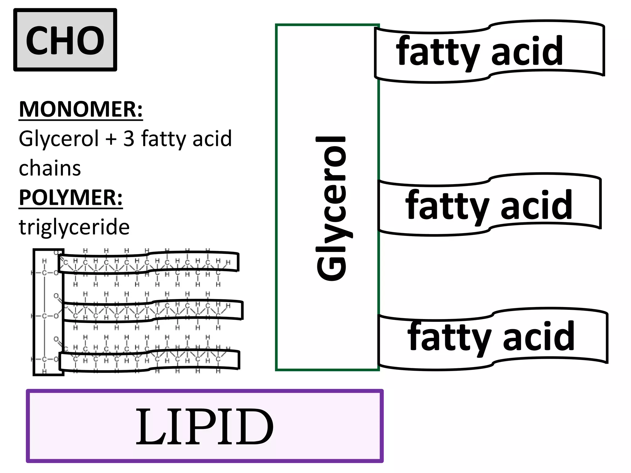Biology Introduction: Nutrient Cycles | PPTX