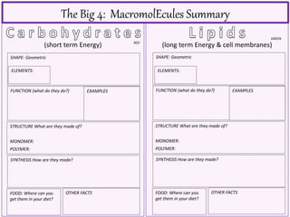Biology Introduction: Nutrient Cycles | PPT