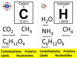 Biology Introduction: Nutrient Cycles | PPT