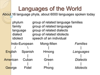 Empres of the Word | PPT | Genealogy and Ancestry | Hobbies & Interests