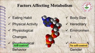 7. metabolism and yoga 2 | PPT
