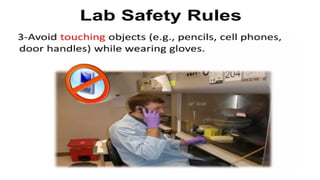Lab Safety Procedures - Microbiology for Lab Technicians | PPT
