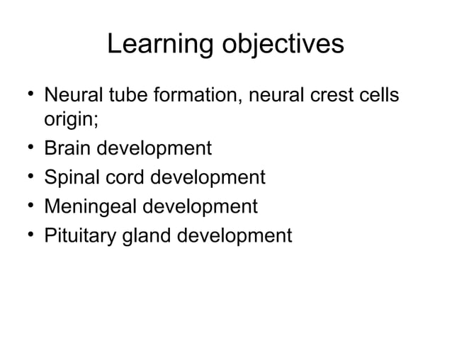 CNS Development | PPT | Brain and Nervous System Disorders | Diseases ...