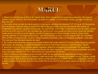 In livada | PPT