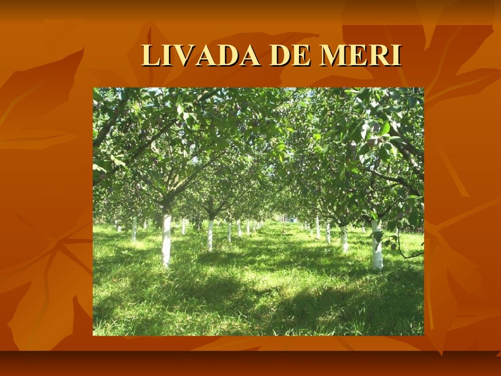 In livada