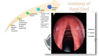 Anatomy of larynx | PPTX