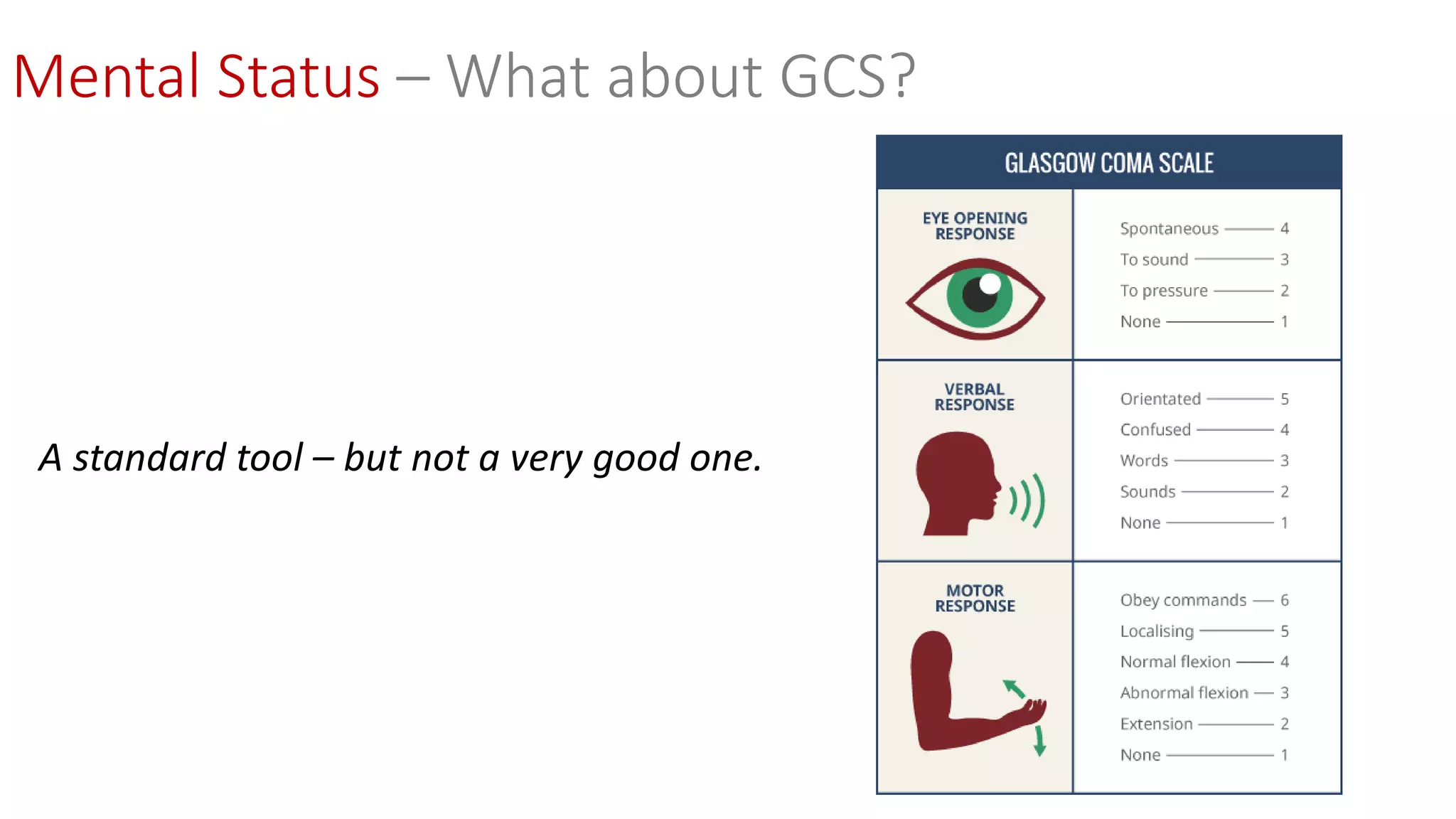 The Paramedic Neurological Assessment | PPTX