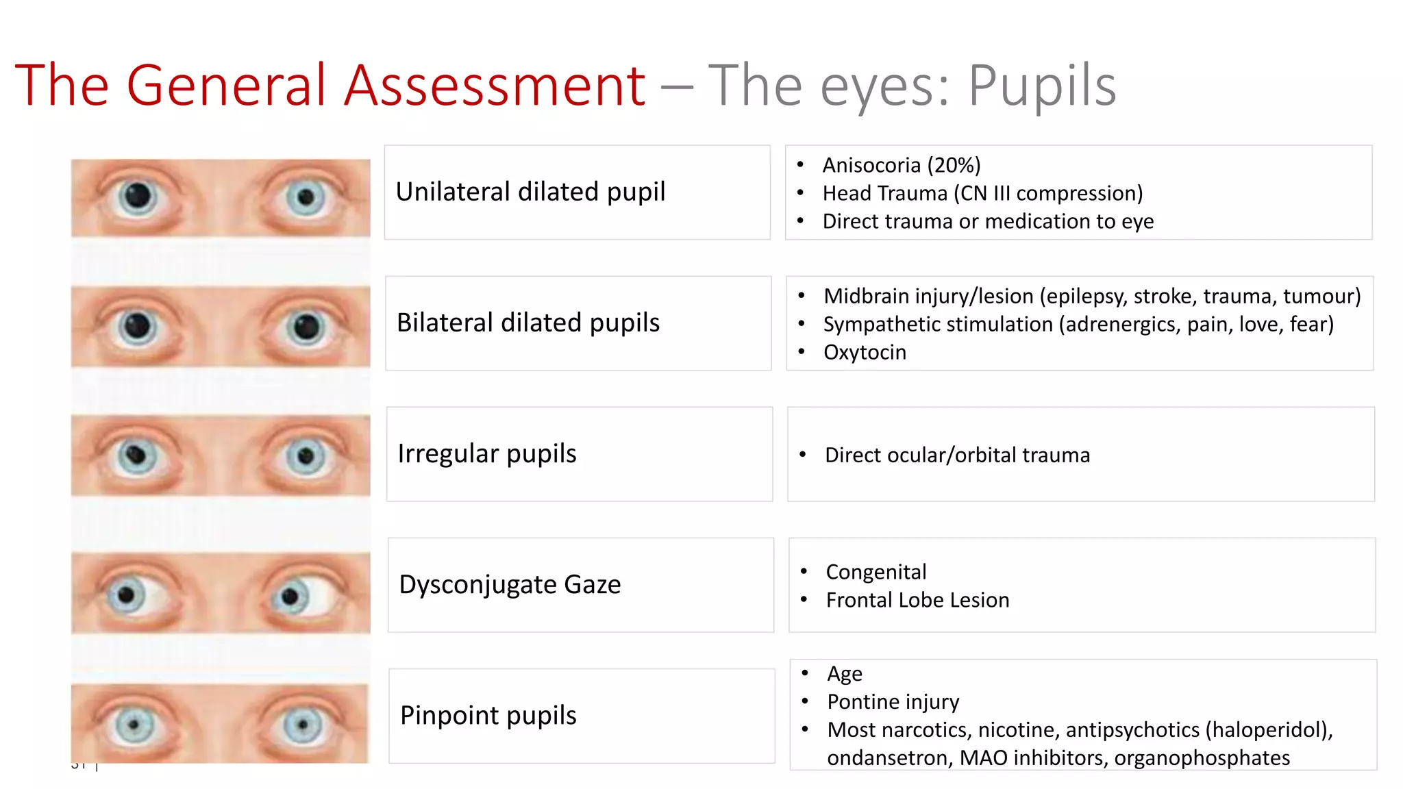 The Paramedic Neurological Assessment | PPTX