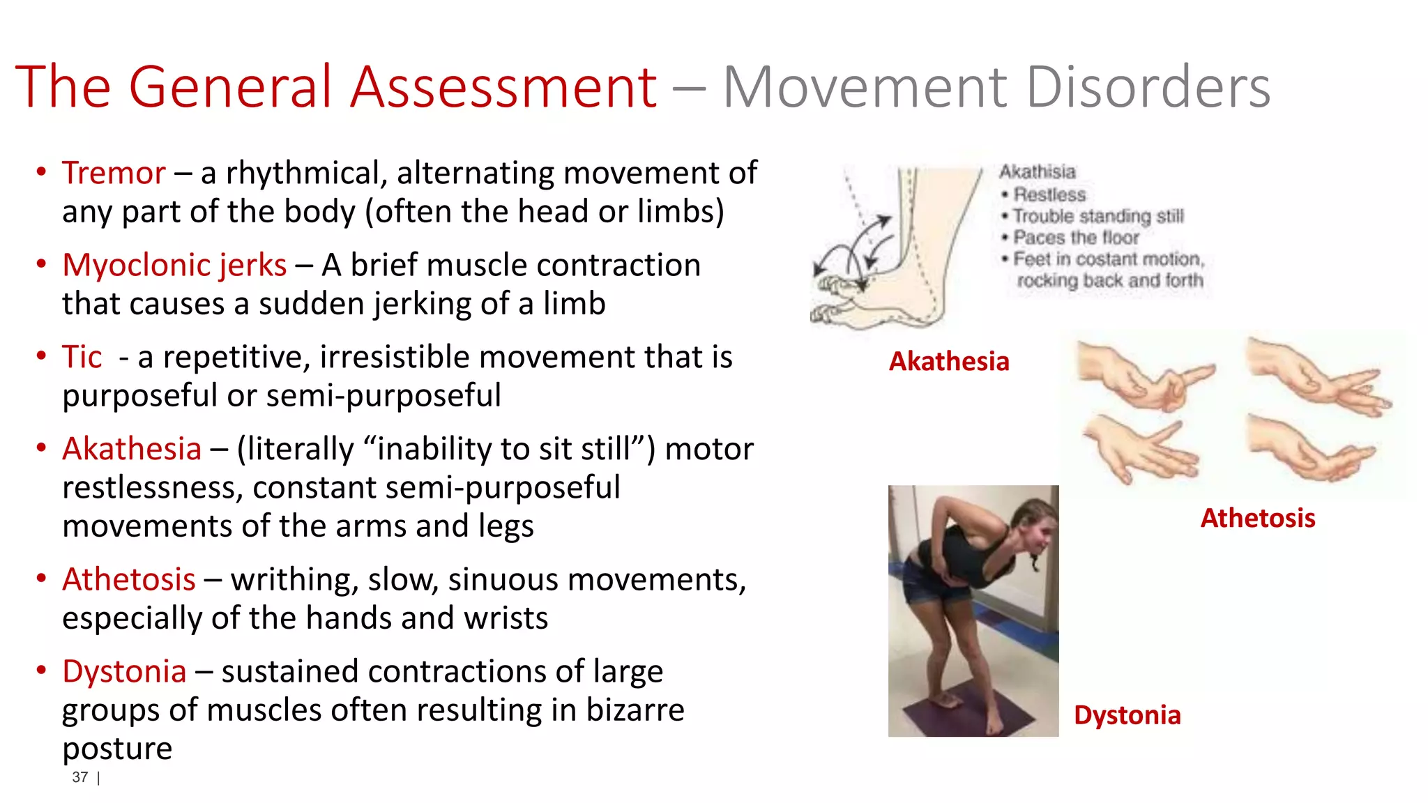 The Paramedic Neurological Assessment | PPTX