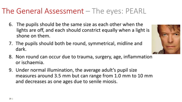 The Paramedic Neurological Assessment | PPTX | First Aid | Injuries