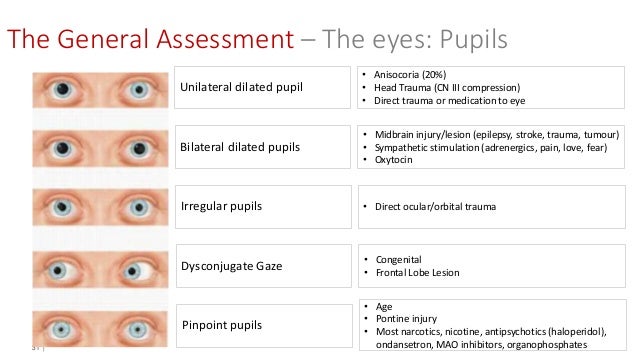 The Paramedic Neurological Assessment