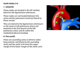 mediastinal lymph nodes anatomy (thorax) | PPTX