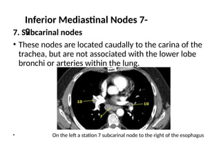 mediastinal lymph nodes anatomy (thorax) | PPTX
