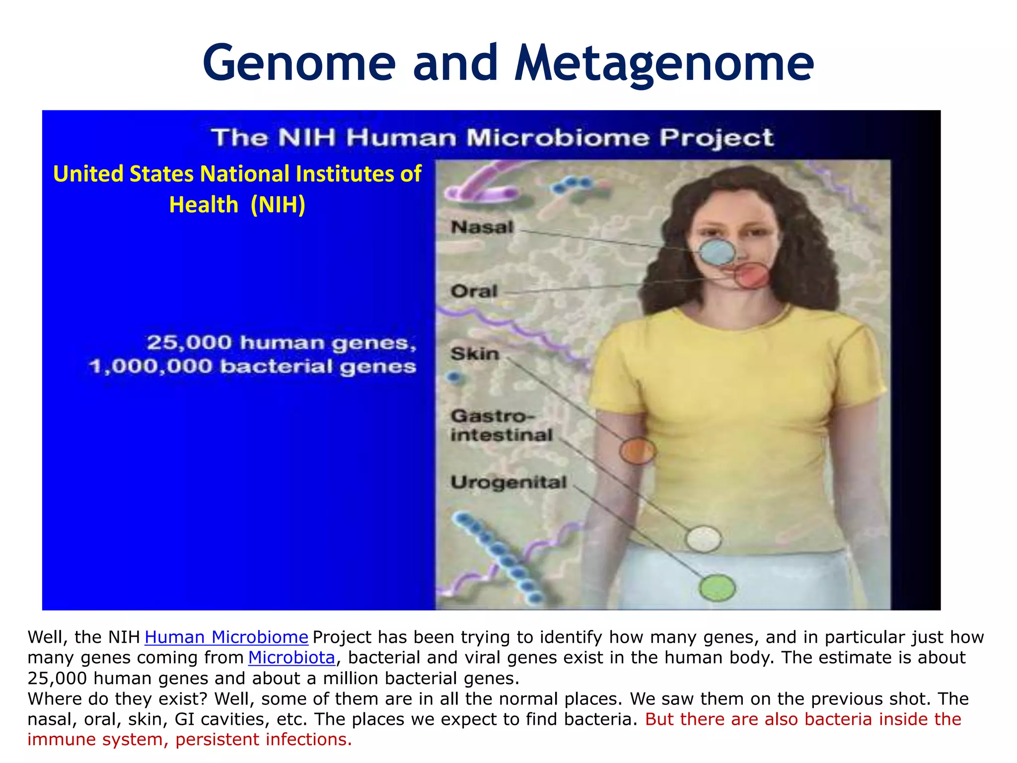 Microbiota, Vitamin D Receptor and Autoimmuity | PPTX