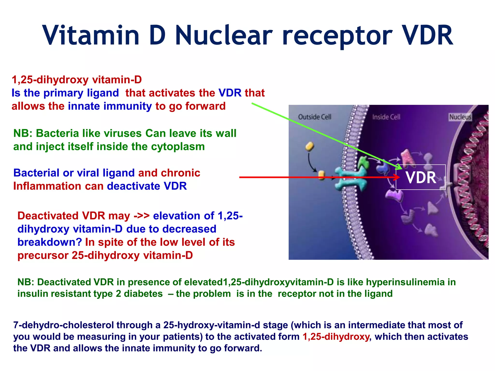 Microbiota, Vitamin D Receptor and Autoimmuity | PPTX