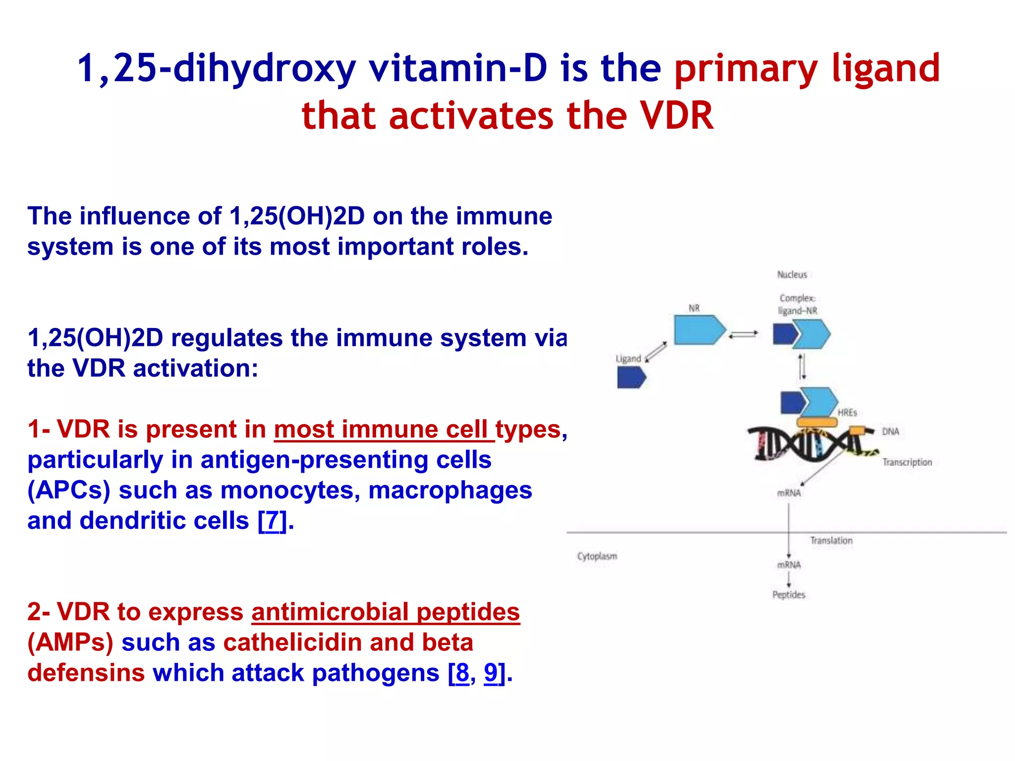 Microbiota, Vitamin D Receptor and Autoimmuity | PPTX