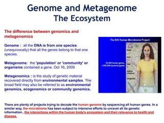 Microbiota, Vitamin D Receptor and Autoimmuity | PPTX