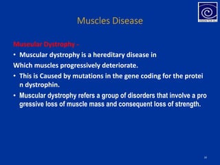 muscle protein | PPTX