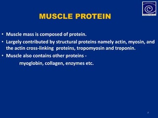 muscle protein | PPTX