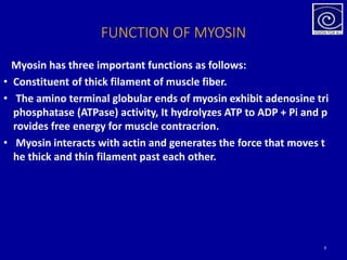 muscle protein | PPTX