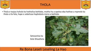 PRESENTATION(20180044)1.pptx