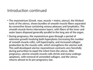 Anatomy of the Myometrium Dr. Lungu Orton.pptx