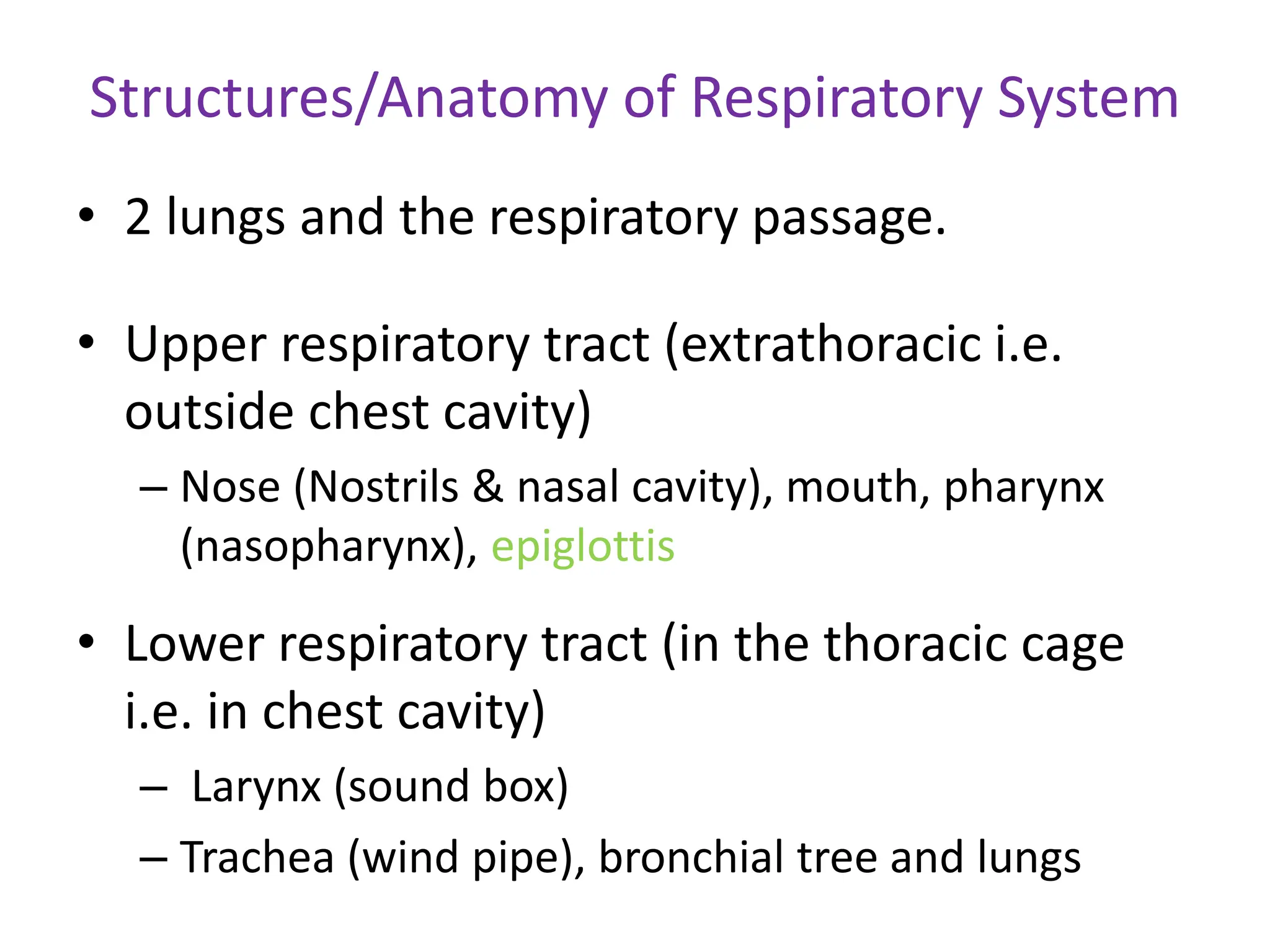 Human Respiratory System for Diploma Pharmacy | PPT