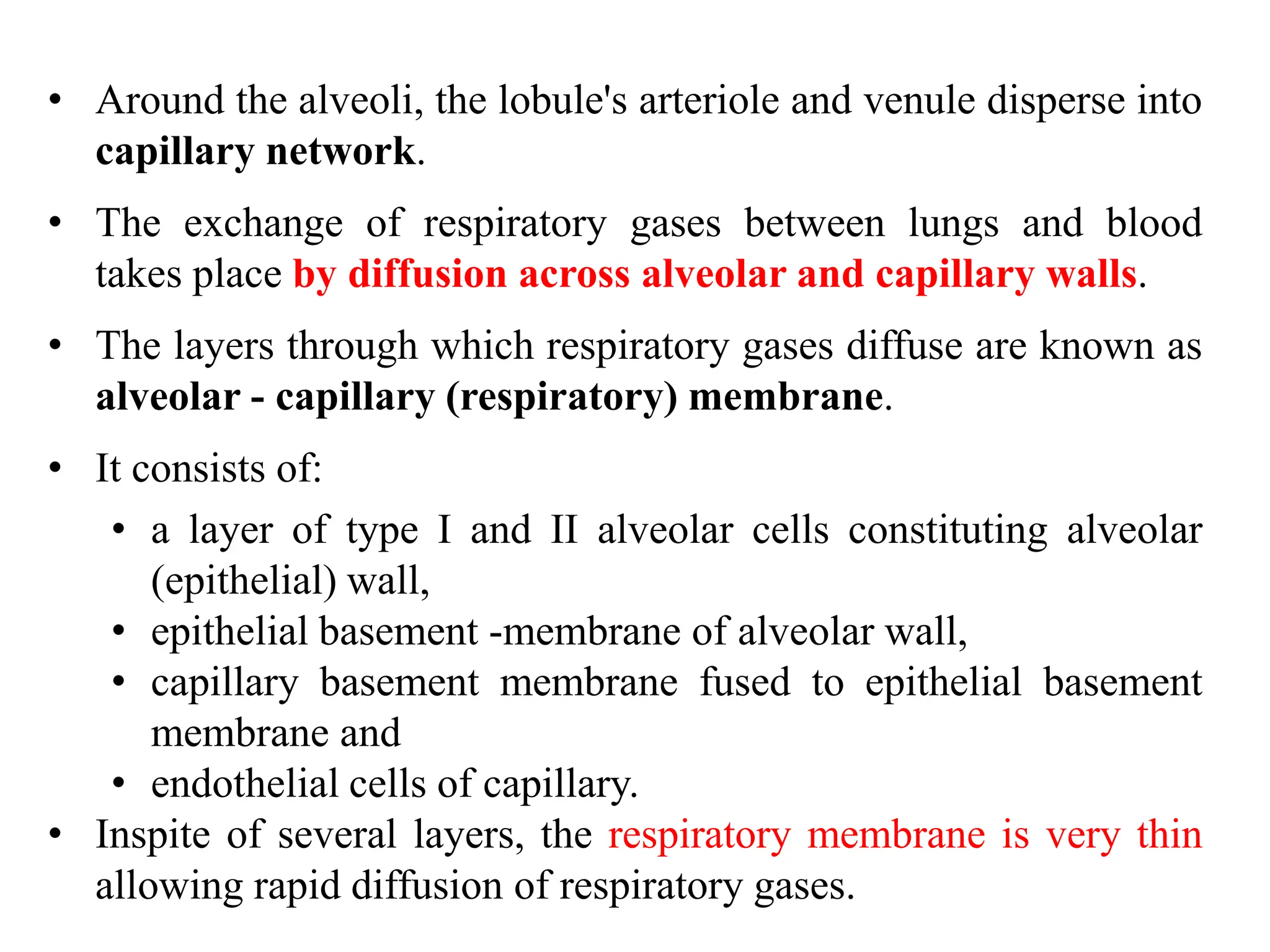 Human Respiratory System for Diploma Pharmacy | PPT