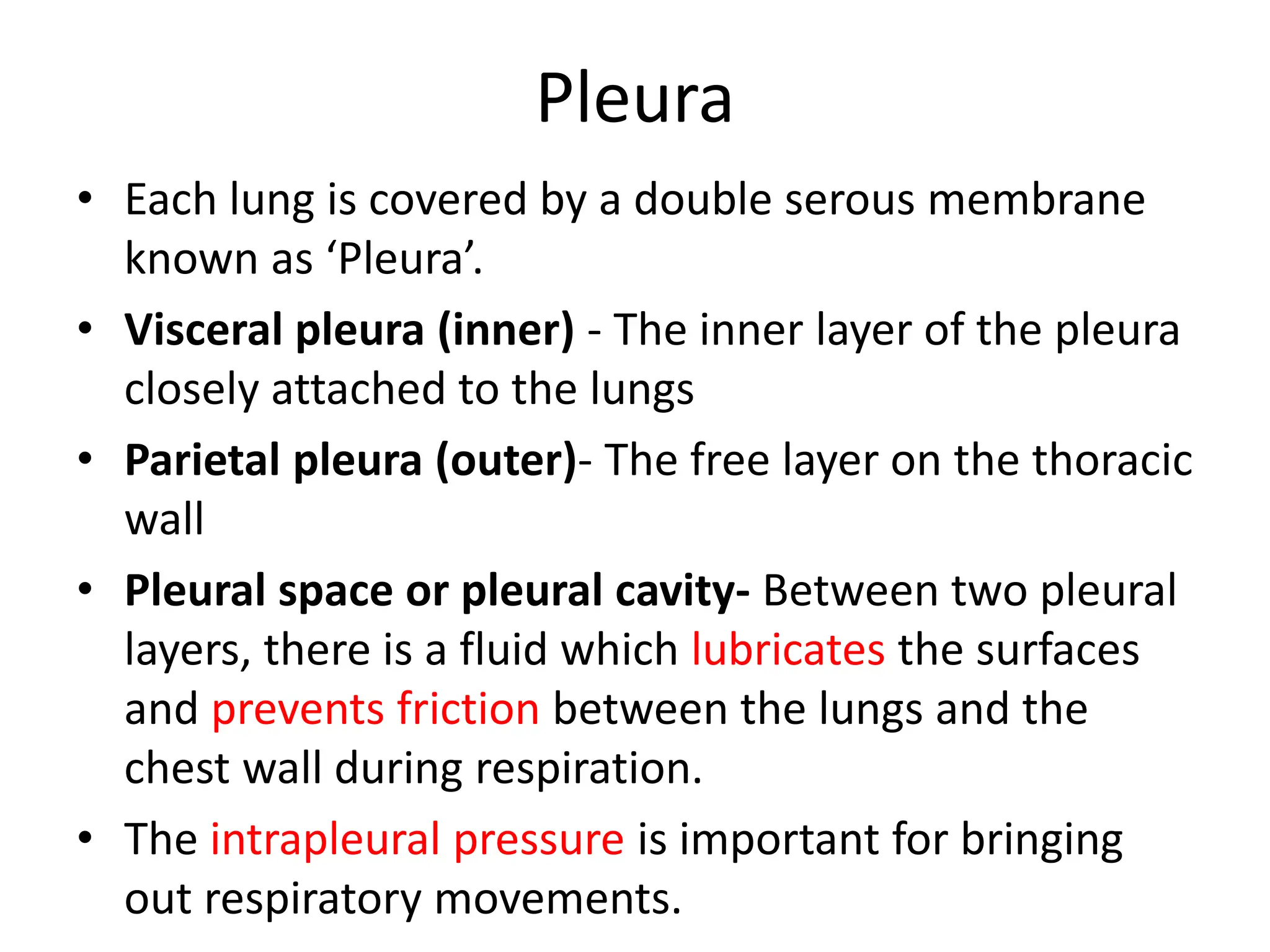 Human Respiratory System for Diploma Pharmacy | PPT