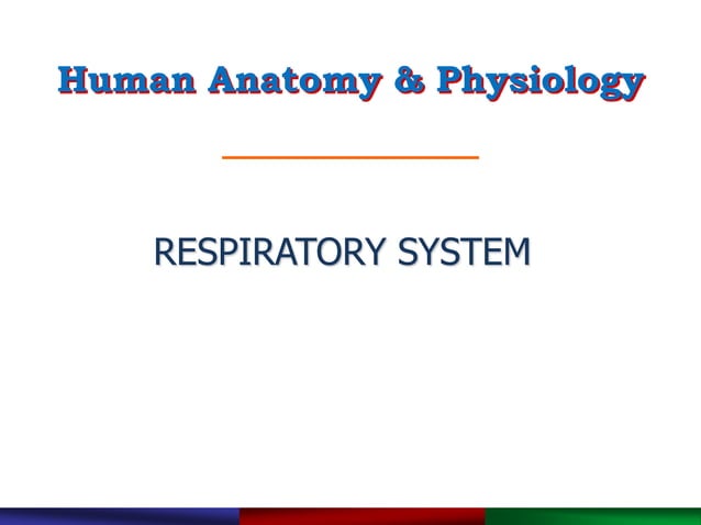 Human Respiratory System for Diploma Pharmacy | PPT