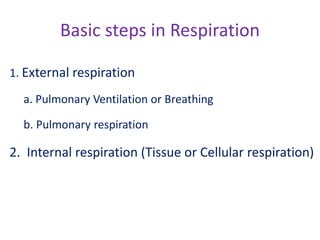 Human Respiratory System for Diploma Pharmacy | PPT