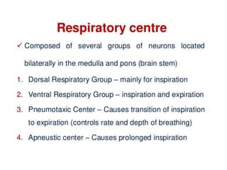 Human Respiratory System for Diploma Pharmacy | PPT