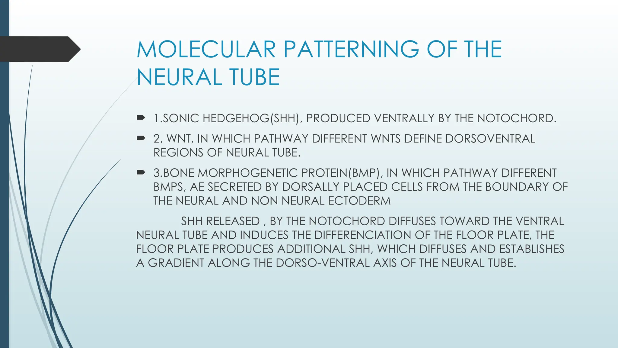 0_NEURAL_TUBE_DEFECTS_PPT-DR.DEEKSHA.pptx