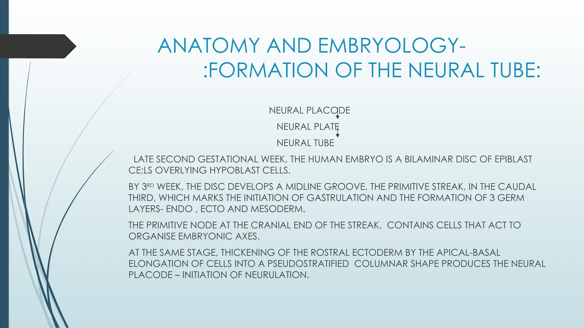0_NEURAL_TUBE_DEFECTS_PPT-DR.DEEKSHA.pptx