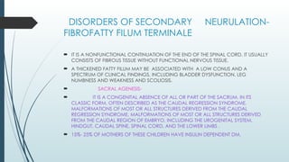 0_NEURAL_TUBE_DEFECTS_PPT-DR.DEEKSHA.pptx
