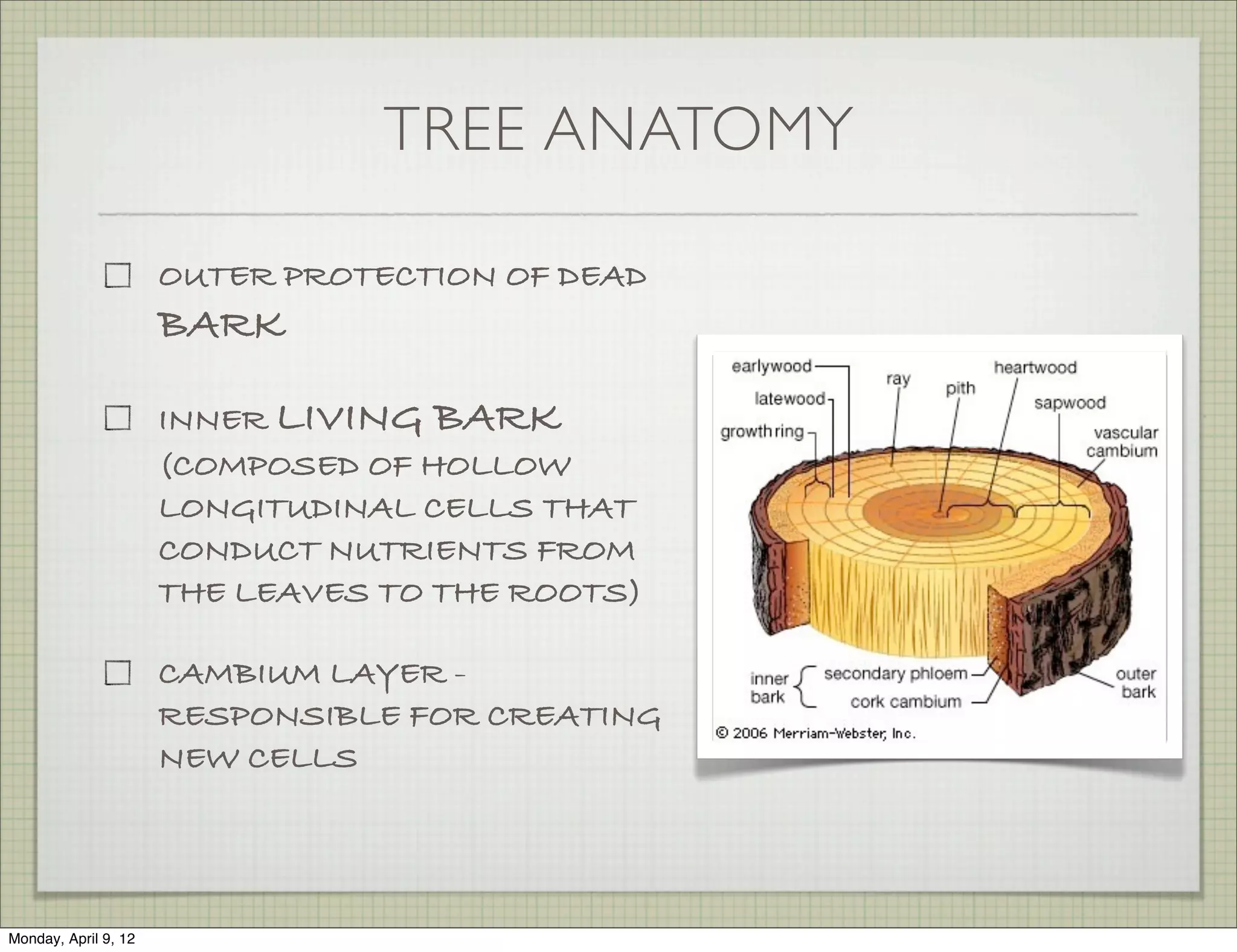 Wood working basics and shrinkage types | PPT