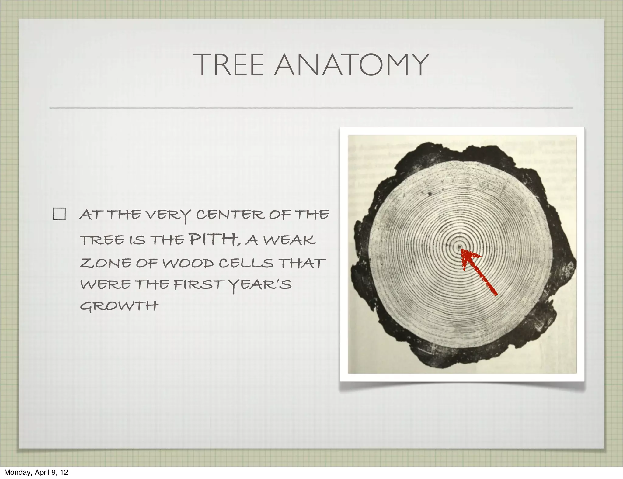Wood working basics and shrinkage types | PPT