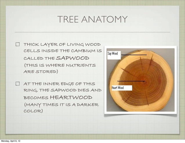 Wood working basics and shrinkage types | PPT