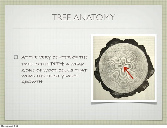Wood working basics and shrinkage types | PPT
