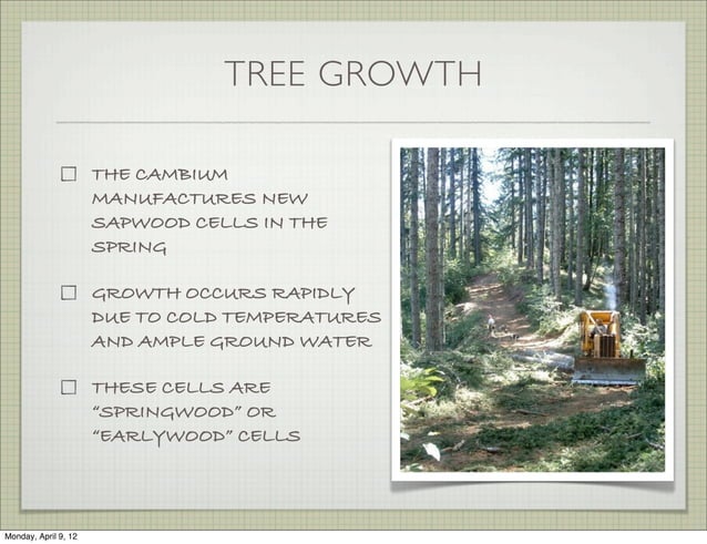 Wood working basics and shrinkage types | PPT