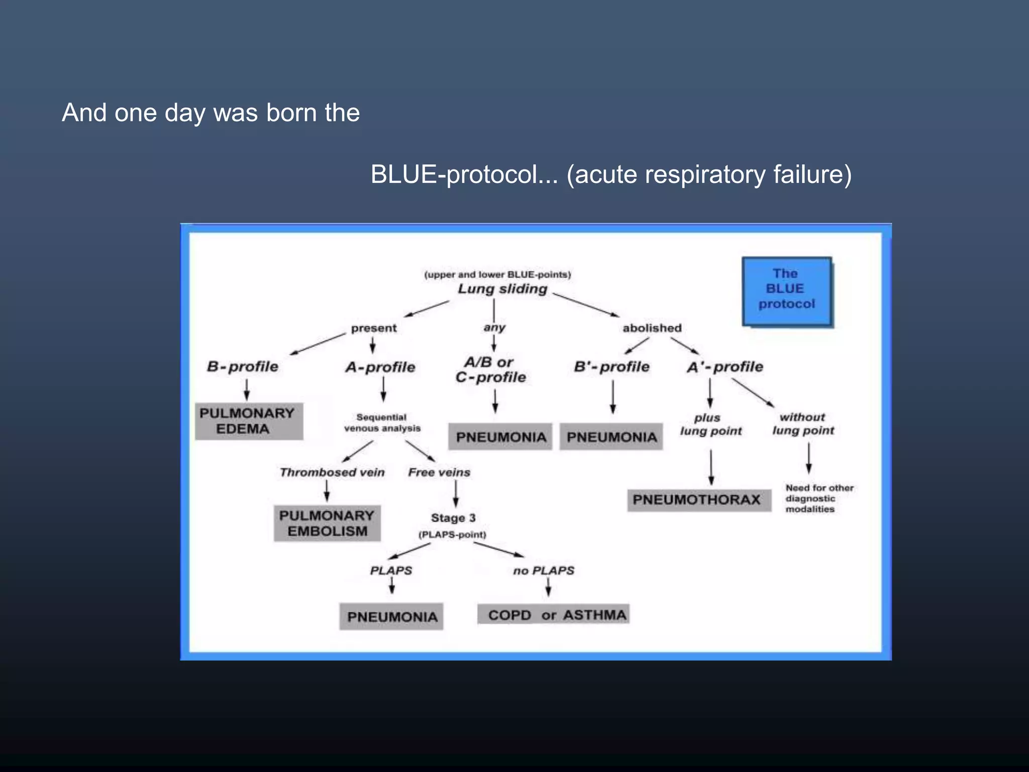 Lung Ultrasound in Critical Care and Resuscitation: Daniel Lichtenstein ...